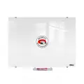 Parrot Glass Board Magnetic 900mmx900mm BD1728 | Waltons